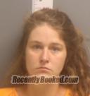 ALLISON ADELLE RUDOLPH Arrest Record & Booking Info – Becker County ...
