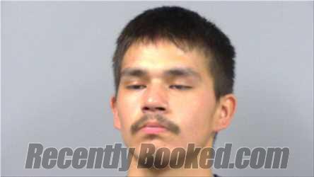 Recent Booking / Mugshot for Dayton Nelson in Beltrami County, Minnesota