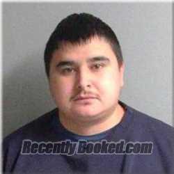 Recent Booking / Mugshot for David Logan in Beltrami County, Minnesota