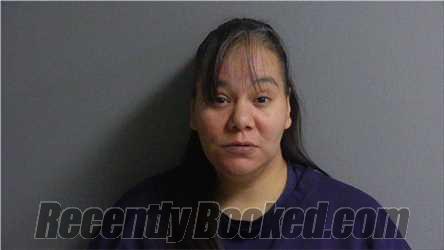 Shyleen Lussier Arrest Record & Booking Info – Beltrami County ...