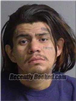 Recent Booking / Mugshot for David Johnson in Beltrami County, Minnesota