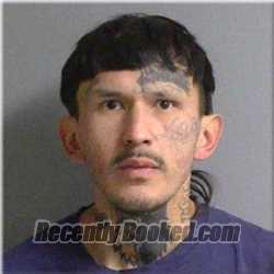 Recent Booking / Mugshot for Adam Johnson in Beltrami County, Minnesota