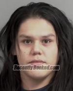 PATRICK ALLEN STILLDAY Arrest Record & Booking Info – Beltrami County ...