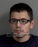 Recent Booking / Mugshot for DAYON ANTHONY LUSSIER in Beltrami County ...