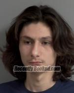 Recent Booking / Mugshot for ALEXANDER CHARLES STAPLES in Beltrami ...