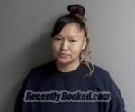 Recent Booking / Mugshot for CHANTELL MARIE ROAN EAGLE in Beltrami ...