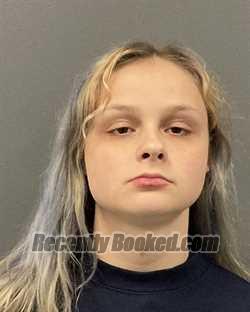 Recent Booking / Mugshot for DANNIKA DIANE POLLOCK in Clay County ...