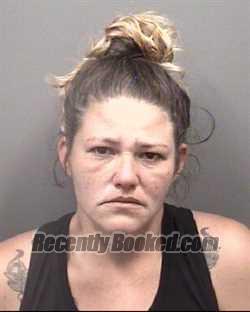 Recent Booking / Mugshot for DESTINY DANIELLE HARVELL in Rowan County ...