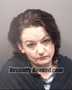 Recent Booking / Mugshot for RHONDA LYNN FINK in Rowan County, North ...
