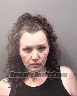 Recent Booking / Mugshot for BRITTANY ALLISON EARNHARDT in Rowan County ...