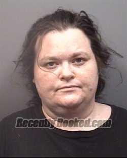 Recent Booking / Mugshot for BRANDI LEIGHANN HARMON in Rowan County ...