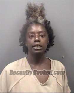 Recent Booking / Mugshot for ERICA MARIE MOSER in Rowan County, North ...