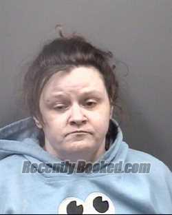 Recent Booking / Mugshot for MEGAN MARIE MULLINS in Rowan County, North ...