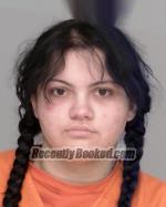 Recent Booking / Mugshot for Emily Ann LeClerc in Crow Wing County ...