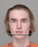Recent Booking / Mugshot for Brandon Michael Nelson in Crow Wing County ...