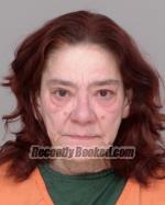 Recent Booking / Mugshot for Lori Michelle Finucane in Crow Wing County ...