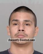 Recent Booking / Mugshot for Dayton Robert Nelson in Crow Wing County ...
