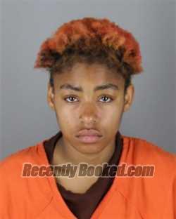 ELIZABETH MARIE RILEY Arrest Record & Booking Info – Hennepin County ...