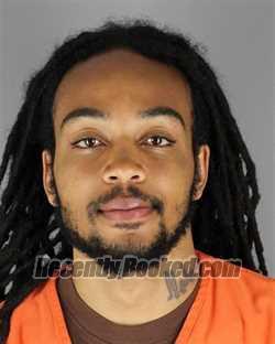 RANDY HARRIS MATHEWS Arrest Record & Booking Info – Hennepin County ...