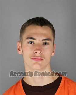 Recent Booking / Mugshot for JORDAN MICHAEL PIERSON in Hennepin County ...