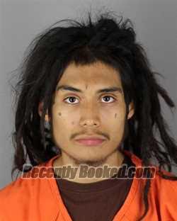Recent Booking / Mugshot for ALEXANDER SEBASTIAN SWANSON in Hennepin ...
