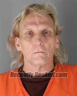 Christina Suzanne Lusk Arrest & Booking Info | Hennepin County, MN