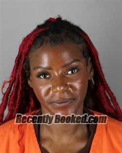 Recent Booking / Mugshot for TAYESHA ASHLEY DELVOIT in Hennepin County ...
