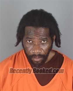 REGINALD PATTERSON Arrest Record & Booking Info – Hennepin County ...