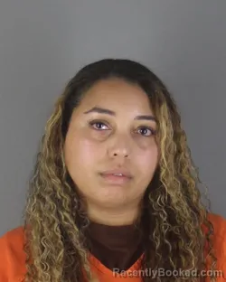 BREANNA LYNN NELSON Arrest Record & Booking Info – Hennepin County ...