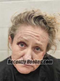 Recent Booking / Mugshot for WENDY PATRICIA JAMISON in Rutherford ...