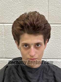 Recent Booking / Mugshot for BROOKLYN ELIZABETH MILITELLO in Rutherford ...