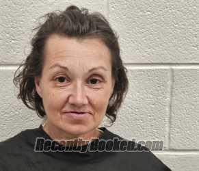 Recent Booking / Mugshot for HEIDI MAUREEN TAVERNIA in Rutherford ...