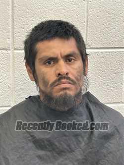 Recent Booking / Mugshot for NICOLAS PEREZ-BARCO in Rutherford County ...