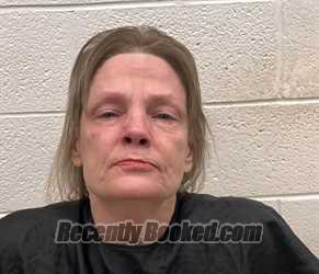 Recent Booking / Mugshot for MICHELLE LYNN TOUCHTON in Rutherford ...