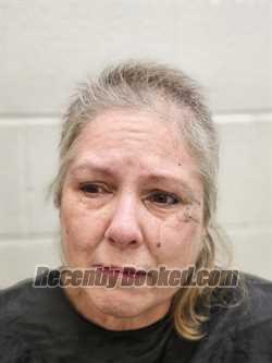 Recent Booking / Mugshot for STACEY MARYANNA DYER in Rutherford County ...
