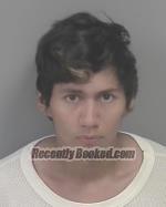 Recent Booking / Mugshot for Valentin Silva Quintana in Houston County ...