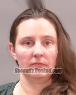 Recent Booking / Mugshot for Maria Lucille Nelson in Isanti County ...