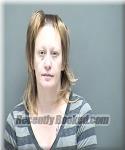 Recent Booking / Mugshot for Christine Serfin in Kanabec County, Minnesota