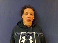 Recent Booking / Mugshot for Lisa Marie Garrison in Sampson County ...