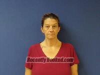 Recent Booking / Mugshot for April Kathleen Manuel in Sampson County ...