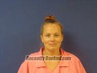 Recent Booking / Mugshot for Misty Lynn Dickerson in Sampson County ...