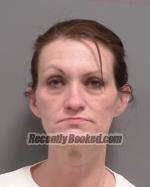 Recent Booking / Mugshot for Tara Ann Schwartz in Le Sueur County ...