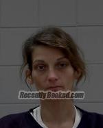 Recent Booking / Mugshot for Kristin Ann Pedersen in McLeod County ...