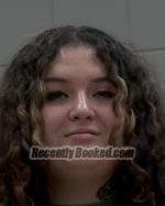 Recent Booking / Mugshot for Jessiana Marie York in McLeod County ...