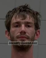 Recent Booking / Mugshot for Michael James Dalbec in McLeod County ...