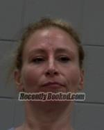 Recent Booking / Mugshot for Lisa Jo Breitkreutz in McLeod County ...