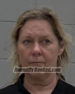 Christine Marie Wainwright Arrest Record & Booking Info – McLeod County ...