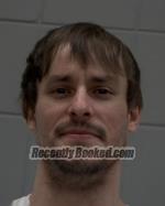 Recent Booking / Mugshot for Tyler Lee Ellman in McLeod County, Minnesota