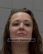 Recent Booking / Mugshot for Angela Renee Pichon in McLeod County, Minnesota