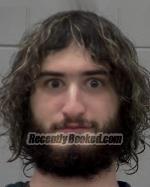 Recent Booking / Mugshot for Alek Michael Ravkin in McLeod County ...